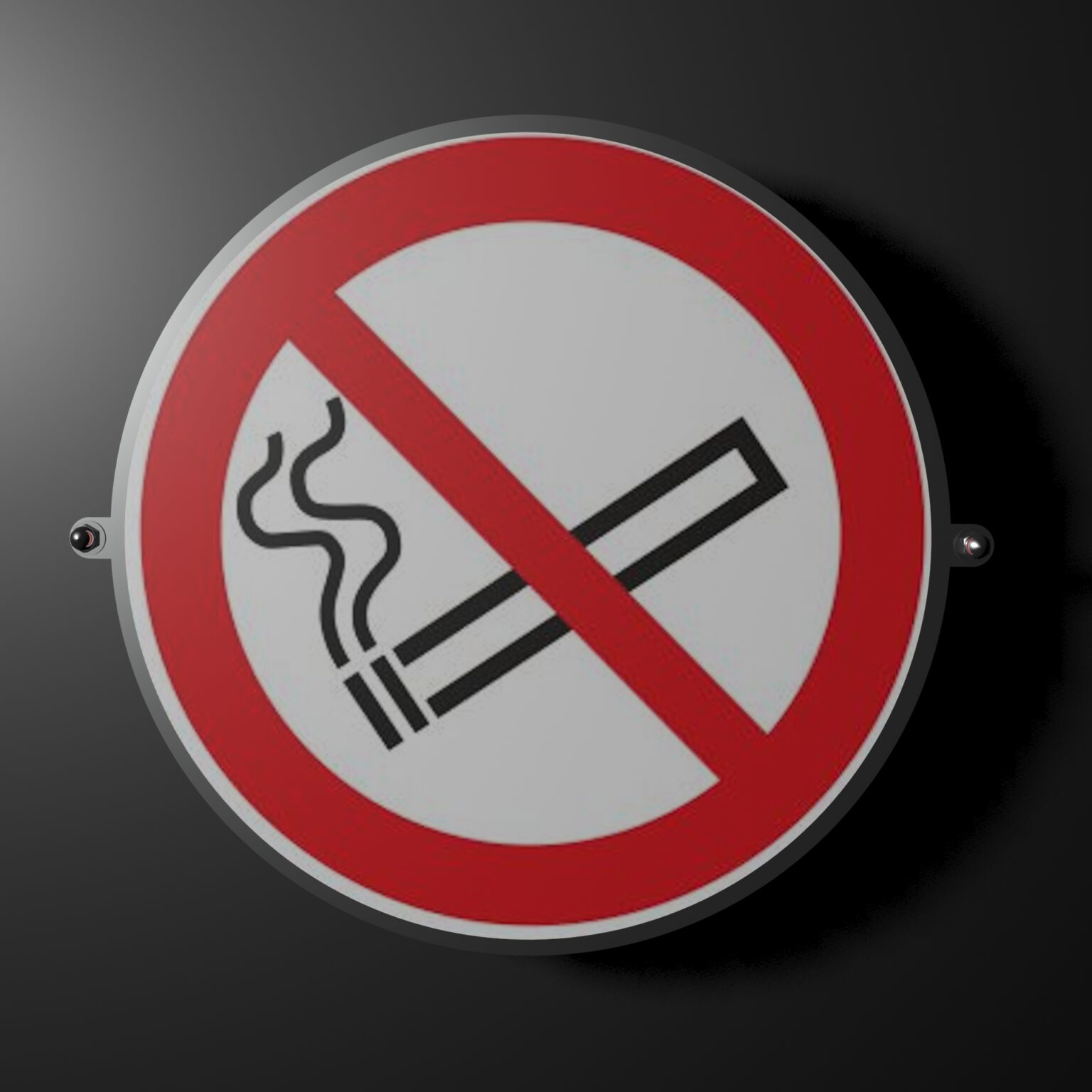 Blechschild Rauchen verboten BLRP002 - ergo-safe | Signs & Symbols